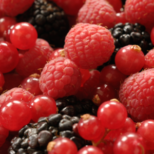Sorbet Artisanal Cocktail de Fruits Rouges - Raimo Glacier